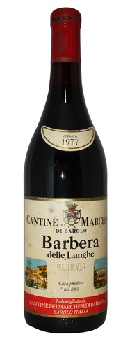 Barbera, Red Wine , 1977 | Vintage Wine and Port